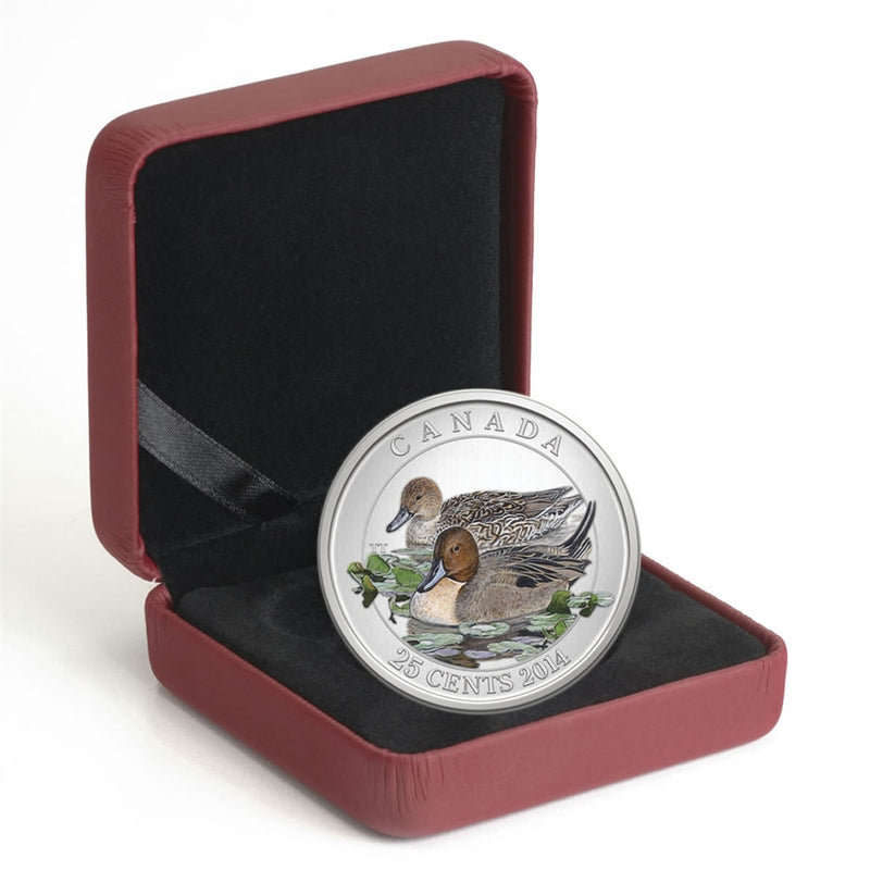 2014 25c Ducks of Canada: Pintail Duck - Coloured Coin