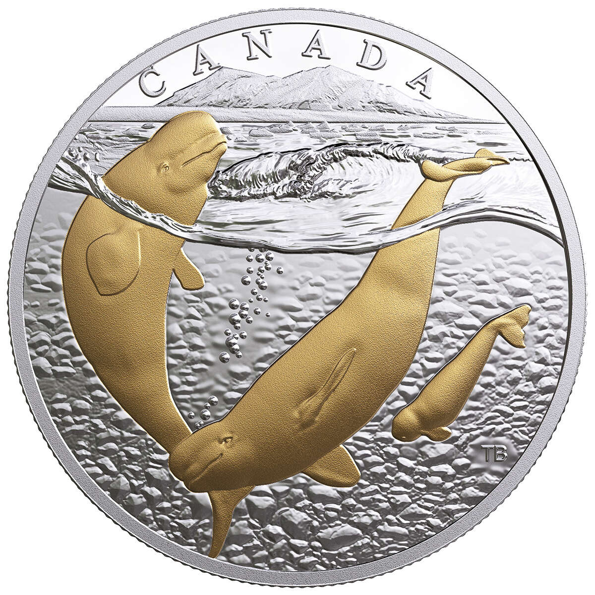 2018 $20 From Sea to Sea to Sea: Arctic Beluga Whale - Pure Silver Coi