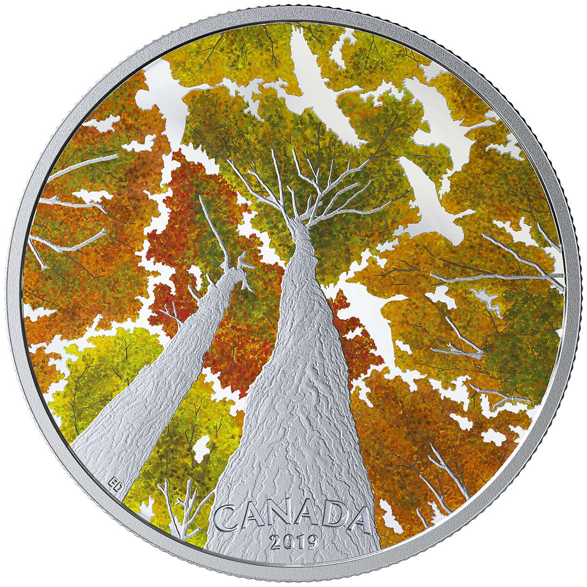 2019 $30 Canadian Canopy : The Canada Goose - Pure Silver Coin