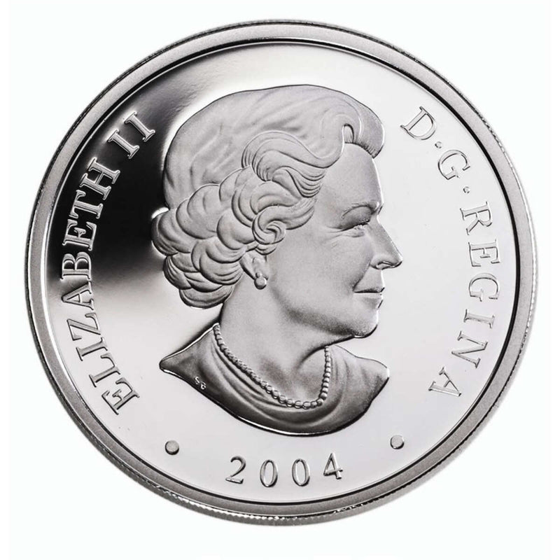 2004 $20 Northern Lights - Pure Silver Coin