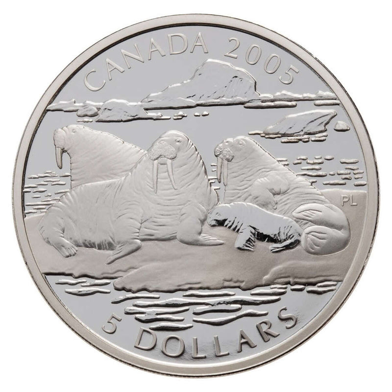 2005 $5 Canadian Wildlife: Atlantic Walrus and Calf - Pure Silver Coin